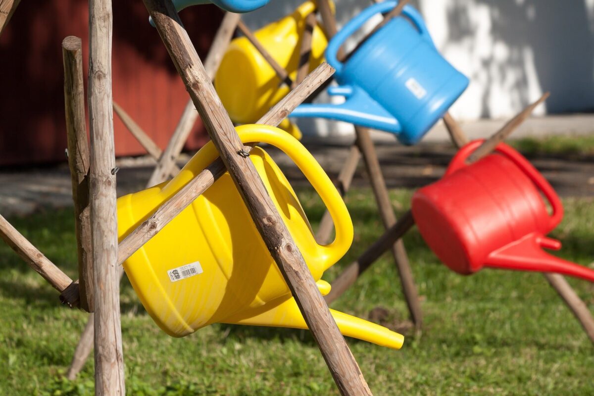 Watering Cans 101: Mastering the Art of Efficient Plant Watering ...