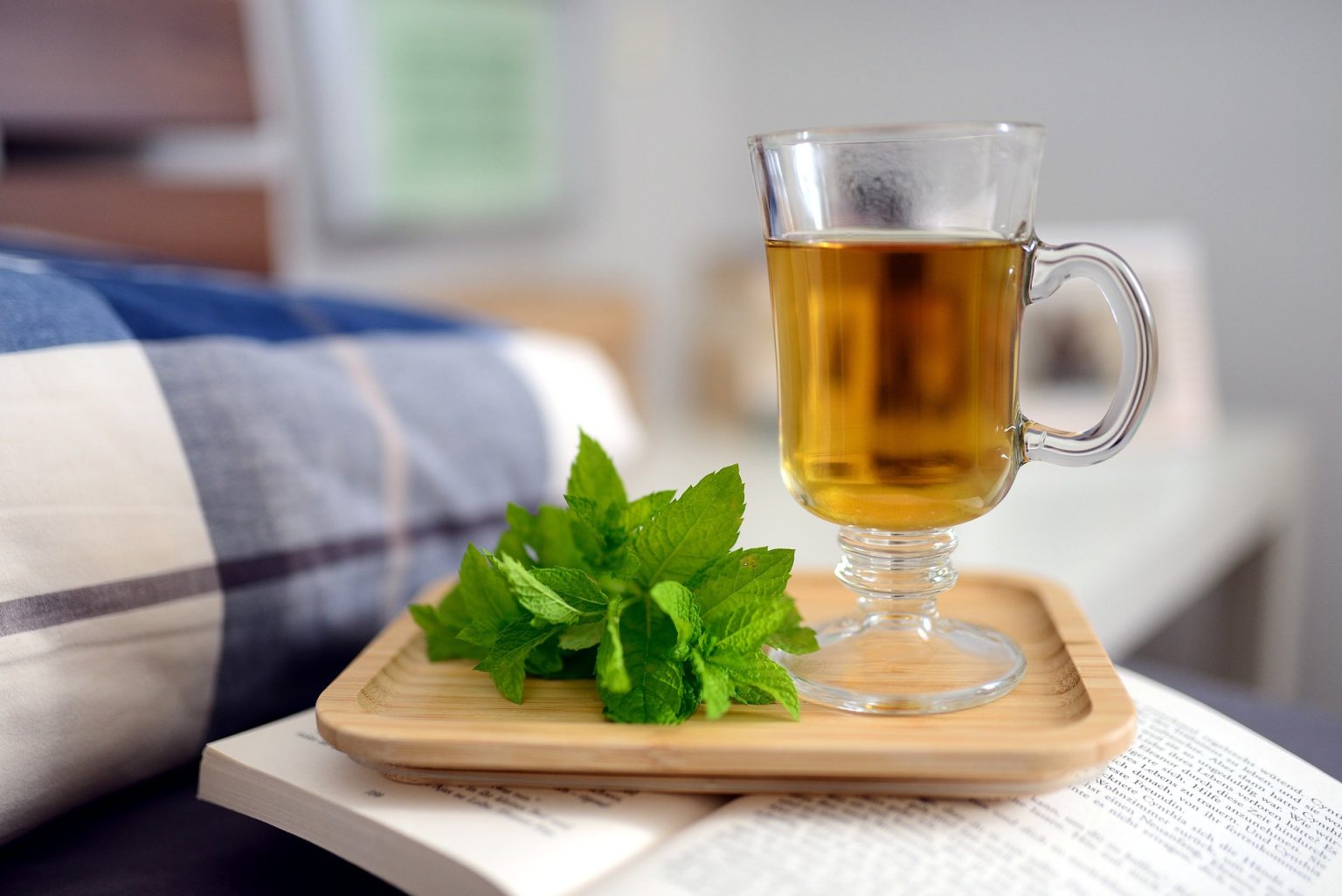 Digest Better, Lose Weight Faster: The Peppermint Tea Connection ...